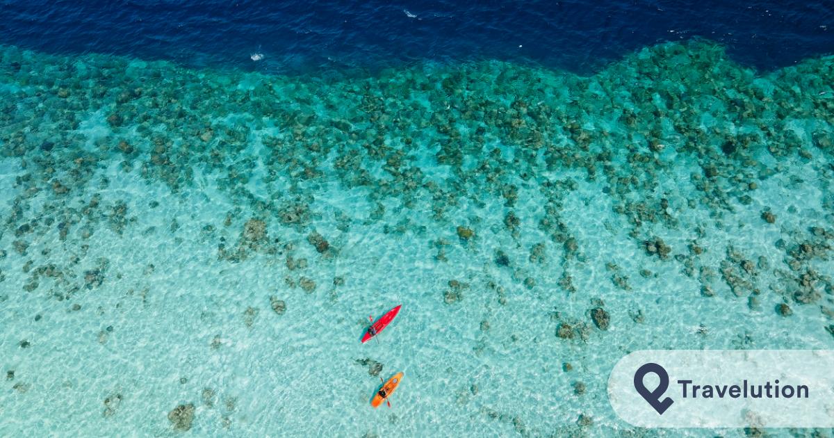 THE BEST: House Reefs